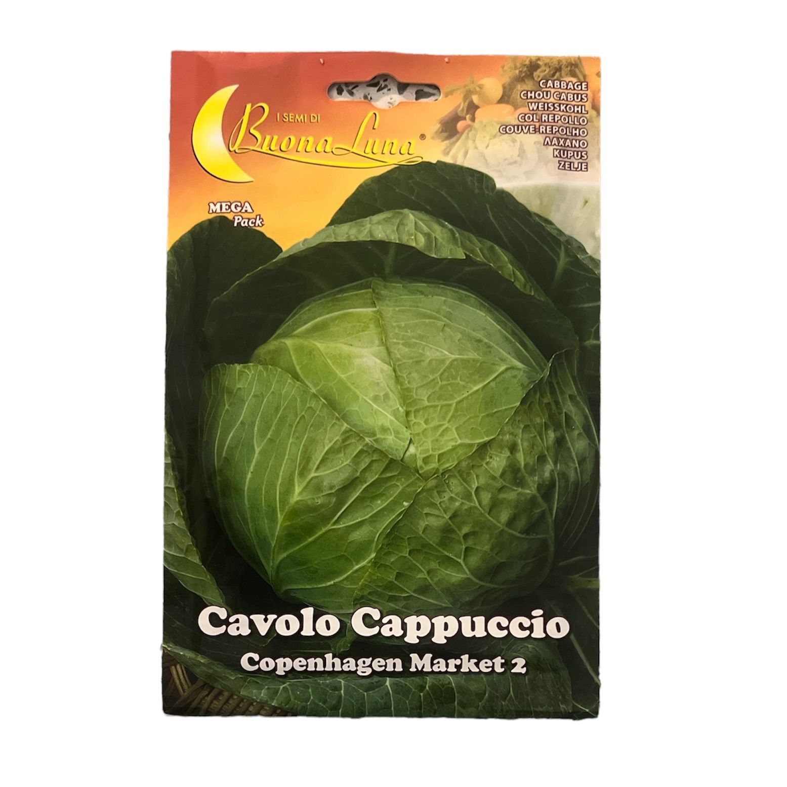 CABBAGE Cabbage – Gulf Palms