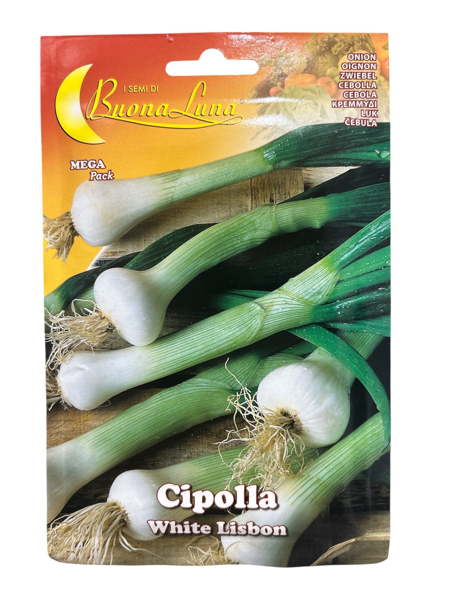 بصل (3) – Gulf Palms